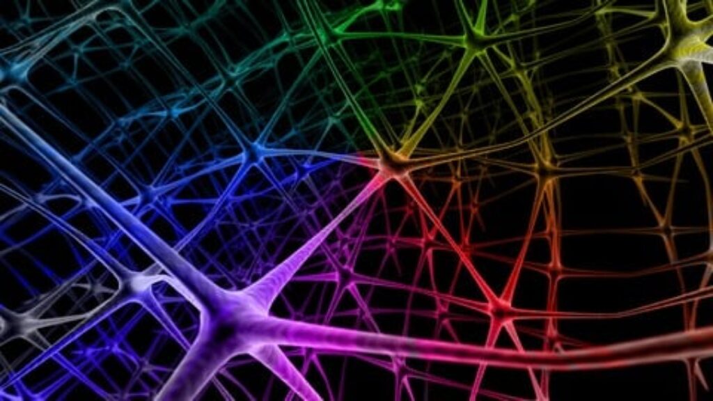 Deep Learning: Convolutional Neural Networks in Python - CoursesPeak